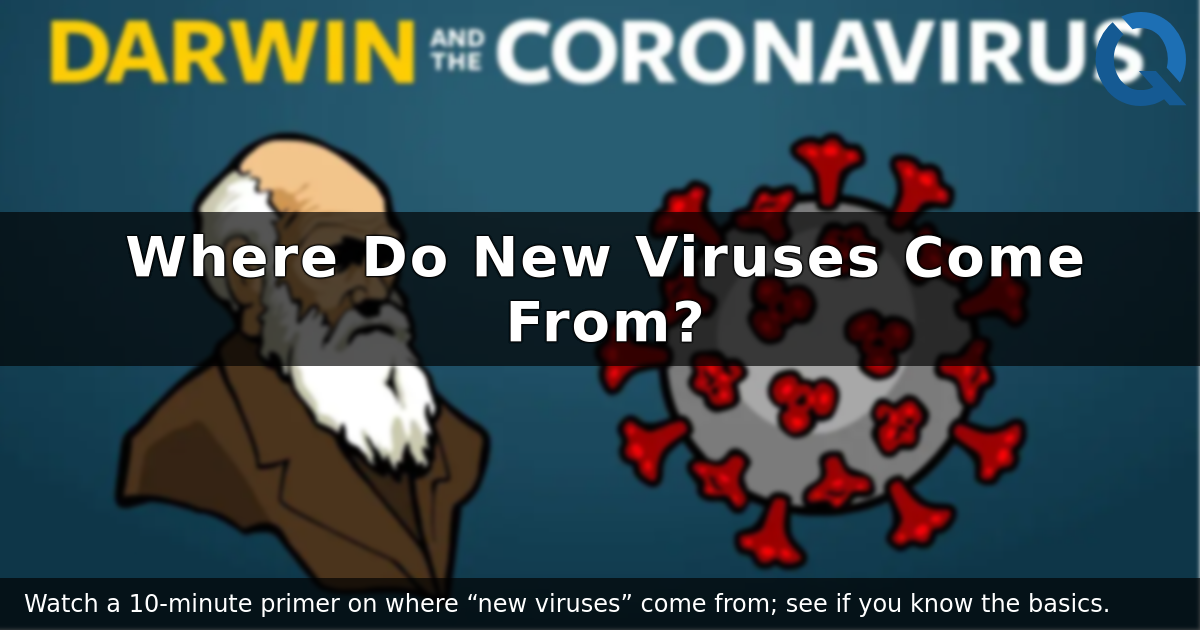 Where Do New Viruses Come From? – Dan Q