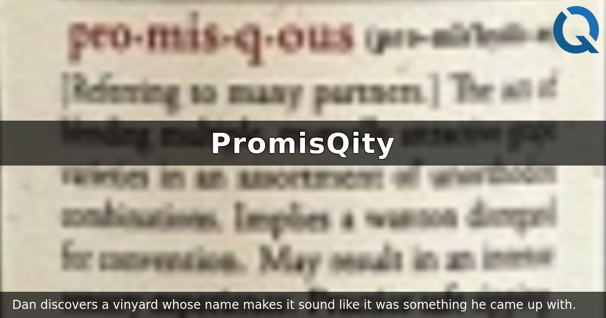 PromisQity – Dan Q