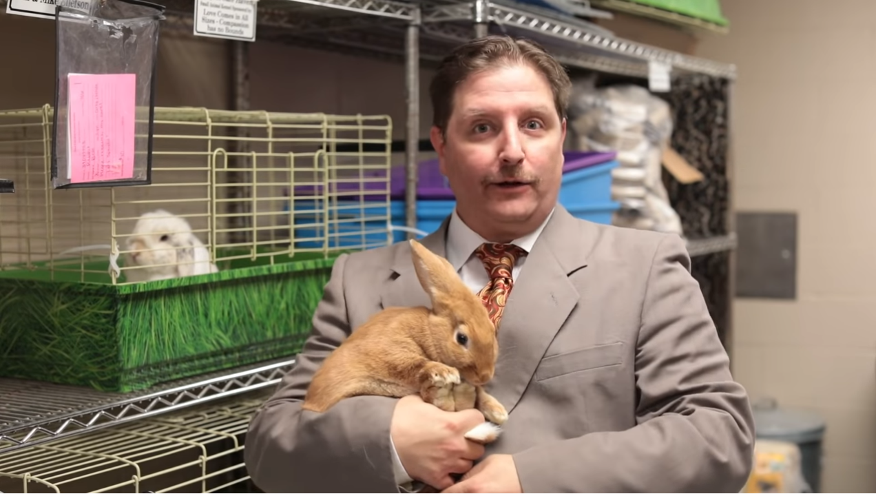 Cat Salesman (Sioux Falls Area Humane Society) – Dan Q