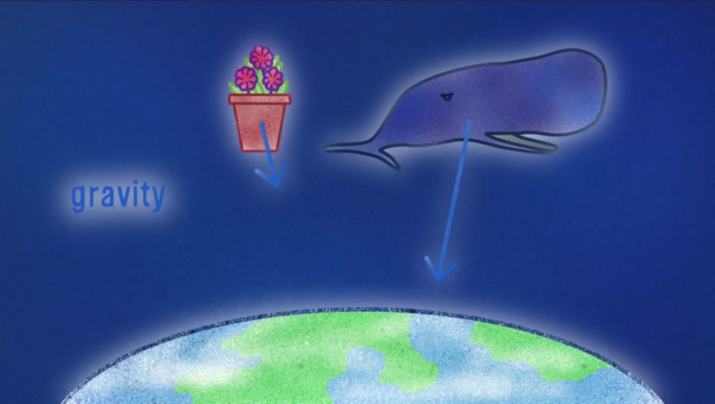 Einstein’s theory still passes the test: weak and strong gravity ...